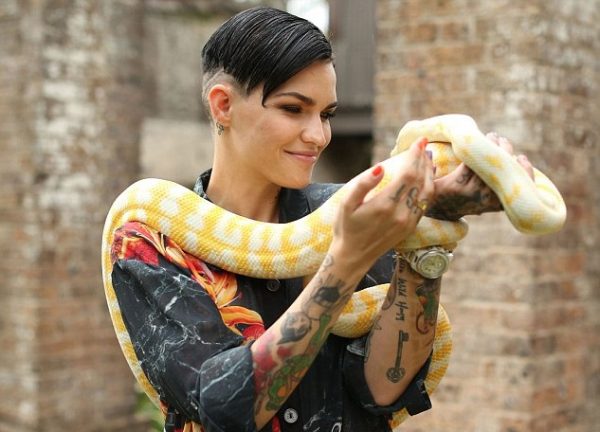 Celebrities who think snakes aren’t scary, they deserve love